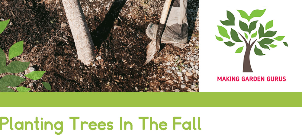 Tree Planting In The Fall – Art Knapp of Kamloops